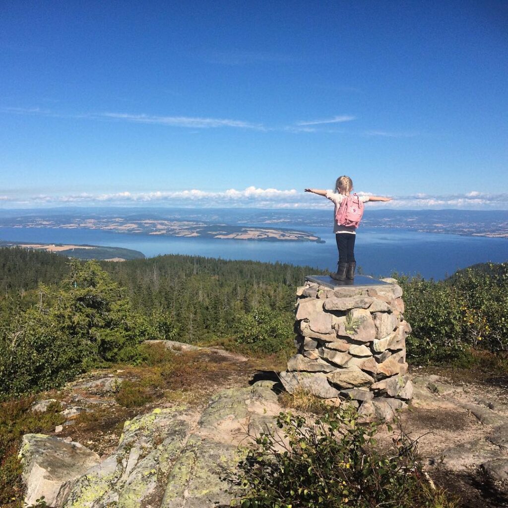 Sommer - Toten Tretopphytte